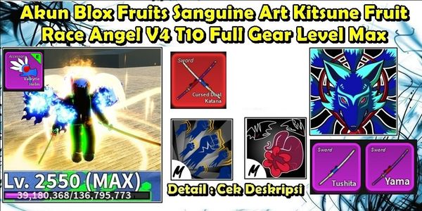 Buy Account Blox Account Fruit Race Angel V4 T10 Full Gear Level Max ...