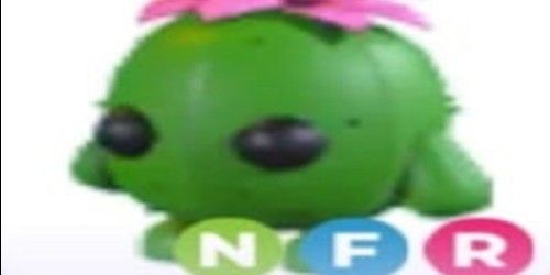 Beli Pet CACTUS FRIEND NFR - ADOPT ME Adopt Me Roblox Trading Hub ...