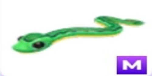 Beli Pet GARDEN SNAKE M - ADOPT ME Adopt Me Roblox Trading Hub ...