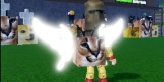 Buy Item floppa power meme sea Roblox 2902367 | itemku