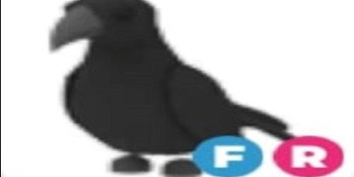 Buy Pet CROW FR - ADOPT ME Adopt Me Trading Hub 2905305 | itemku