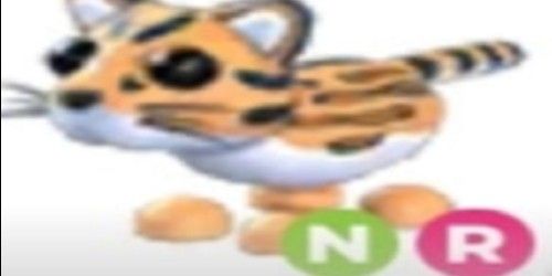 Buy Pet OCELOT NR - ADOPT ME Adopt Me Roblox Trading Hub 2907622 | itemku