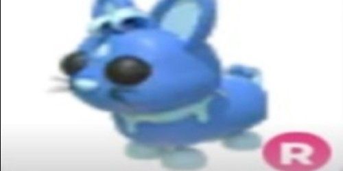 Beli Pet WATER RABBIT R - ADOPT ME Adopt Me Roblox Trading Hub ...