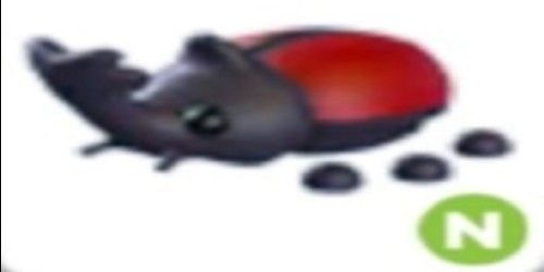 Buy Pet RHINO BEETLE N - ADOPT ME Adopt Me Trading Hub 2907829 | itemku