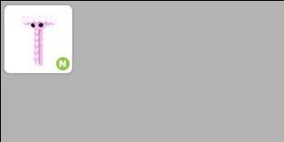 Beli Pet Neon Jellyfish - Adopt me Adopt Me Roblox Trading Hub ...