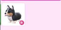 Buy Pet Royal Corgi R Adopt Me Adopt Me Trading Hub 2965592 | itemku