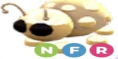 Beli Pet GOLDEN LADYBUG NFR - ADOPT ME Adopt Me Roblox Trading Hub ...