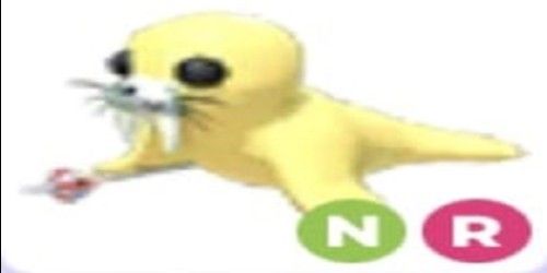 Buy Pet GOLDEN WALRUS NR - ADOPT ME Adopt Me Roblox Trading Hub 2974080 ...