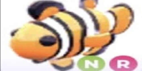 Beli Pet CLOWNFISH NR - ADOPT ME Adopt Me Trading Hub Terlengkap dan ...