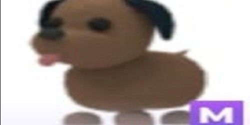 Buy Pet CHOCOLATE LABRADOR M - ADOPT ME Adopt Me Trading Hub 2975656 ...