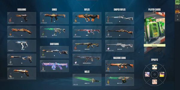 Buy Account Champions 2024 Phantom, Prelude to Chaos Vandal, Gaia ...