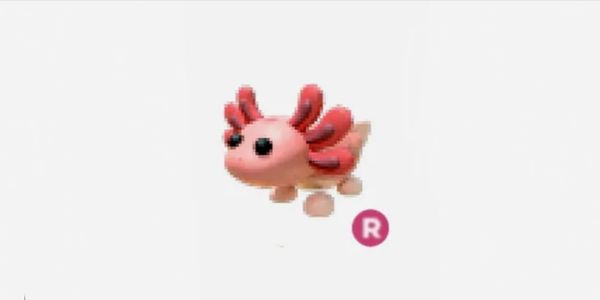 Buy Pet R Axolotl Adopt Me Trading Hub 2977626 | itemku