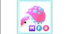 Buy Pet MFR GLYPTODON - ADOPTME ROBLOX Adopt Me Trading Hub 2983745 ...