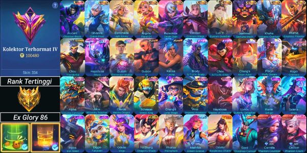 Buy Account AKUN MLBB SKIN 334 | 1 LEGEND | 9 COLLECTOR | DAWNING CHOU ...