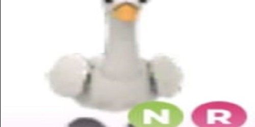 Buy Pet SWAN NR - ADOPT ME Adopt Me Roblox Trading Hub 2983714 | itemku