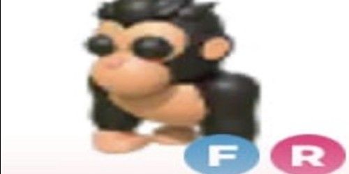 Beli Pet GORILLA FR - ADOPT ME Adopt Me Roblox Trading Hub Terlengkap ...