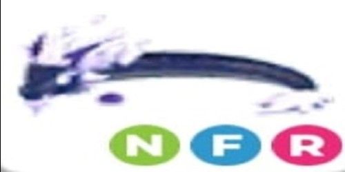 Buy Pet MIDNIGHT DRAGON NFR - ADOPT ME Adopt Me Roblox Trading Hub ...