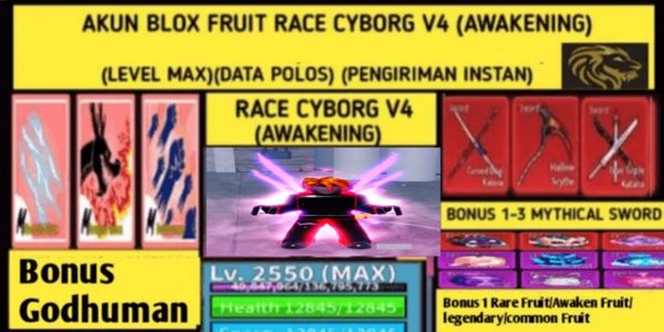 Buy Account Blox Fruit Race Cyborg V4 T1 (AWAKENING) (LEVELMAX ...