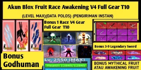 Buy Account BLOX FRUIT RACE AWAKENING V4 FULL GEAR T10 (LEVELMAX ...