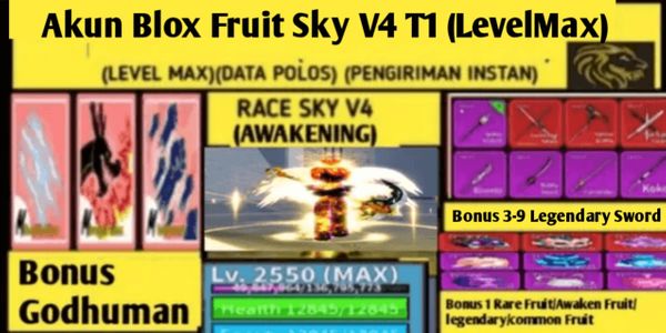 Buy Account Blox Fruit Race Sky V4 T1 Account (Max Level) (Plain Data ...