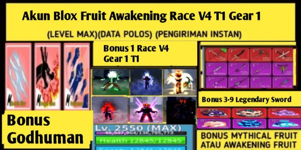 Buy Account Blox Fruit Awakening Race V4 T1 (Gear 1) (LEVELMAX) (DATPOL) Account Blox Fruits ...