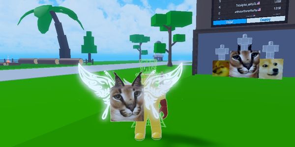 Beli Item Floppa fruit meme sea Meme Sea Roblox Terlengkap dan Termurah ...