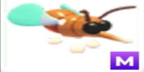 Beli Pet MOSQUITO M - ADOPT ME Adopt Me Trading Hub Terlengkap dan ...