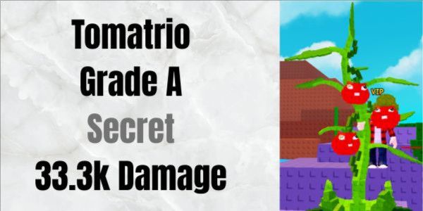 Buy Item Tomatrio Grade A (Secret) Plants Vs Brainrots 3849459 | itemku