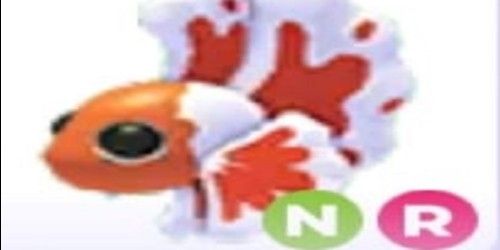 Buy Pet ORANGE BETTA FISH NR - ADOPT ME Adopt Me Trading Hub 3868839 ...