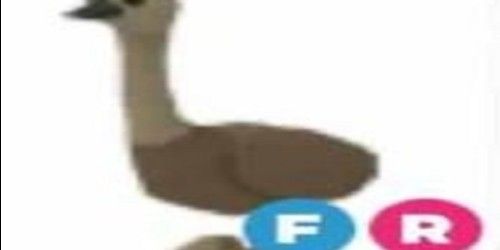 Buy Pet EMU FR - ADOPT ME Adopt Me Trading Hub cheapest May 2026 | itemku