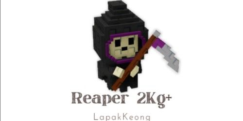 Buy Pets Reaper base 2.00Kg+ - Grow A Garden Grow A Garden 3875469 | itemku