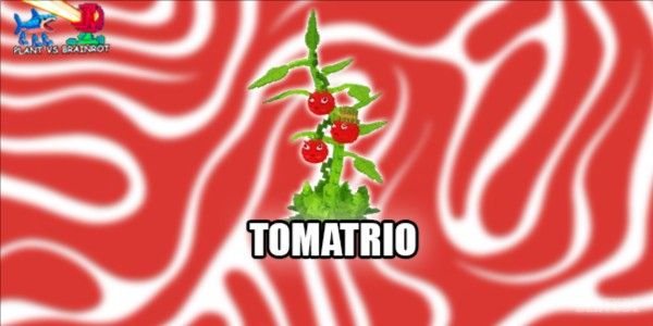 Beli Item Tomatrio | Plants Vs Brainrots Plants Vs Brainrots Terlengkap ...