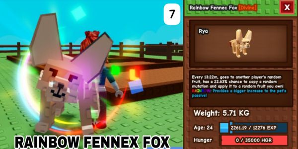 Buy Pets RAINBOW FENNEC FOX / RB FF / RAINBOW FF / RB FENNEC FOX ...
