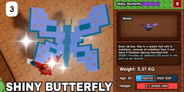 Beli Pets SHINY BUTTERFLY / SHINY BUTTER FLY / SHINY BF PET LUCU PET ...