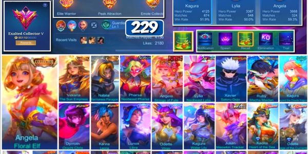Buy Account #2865 | 229 Skins | Collector Natalia, Angela & Vexana ...