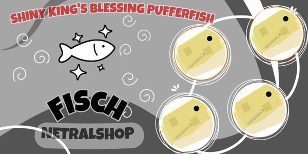 Buy Fish Shiny King's Blessing Pufferfish | Fisch RBL Fisch 3864952 ...