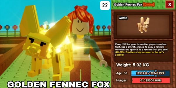 Buy Pets GOLDEN FENNEC FOX / GOLD FENNEC FOX / GOLDEN FF / GOLD FF GROW ...