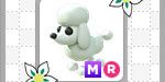 Buy Pet MR Poodle - Adopt Me Adopt Me Trading Hub 3928057 | itemku