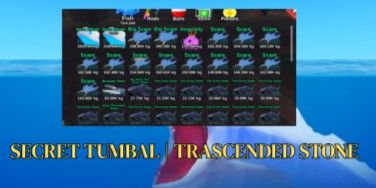 Beli Item Transcended Stone Fish It! Terlengkap dan Termurah Mei 2026 ...