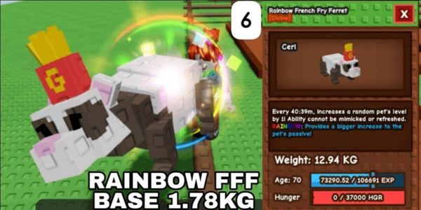 Beli Pets RAINBOW FRENCH FRY FERRET AGE 100 (MAX) / RAINBOW FFF / RB ...