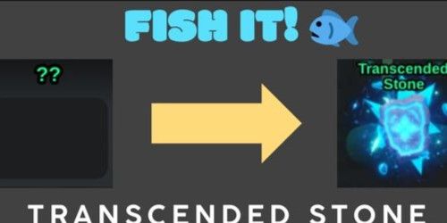 Beli Fish Transcended Stone Fish It! Terlengkap dan Termurah April 2026 ...