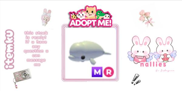 Buy Pet MR Beluga Whale Adopt Me Trading Hub 3913047 | itemku
