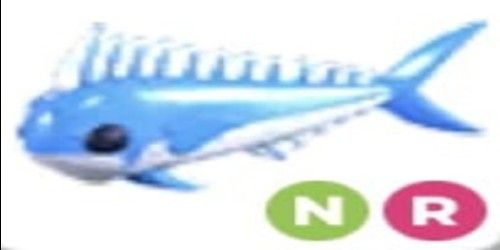 Buy Pet DIAMOND MAHI MAHI NR - ADOPT ME Adopt Me Trading Hub 3222170 ...