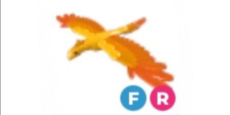 Buy Pet Phoenix FR - Adopt Me Adopt Me Trading Hub 3242974 | itemku