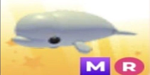 Buy Pet BELUGA WHALE MR - ADOPT ME Adopt Me Trading Hub 3260922 | itemku
