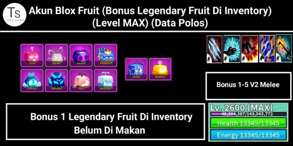 Beli Akun Akun Blox Fruit (Bonus Legendary Fruit Di Inventory) (Level ...