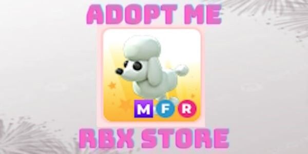 Buy Pet MFR Poodle Adopt Me Adopt Me Trading Hub 3283925 | itemku