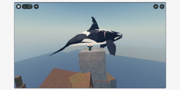 Buy Fish Orca Fisch 3264314 | itemku