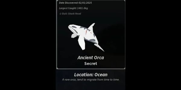 Beli Fish SSB Ancient Orca (Shiny Sparkling Big Ancient Orca) Secret ...