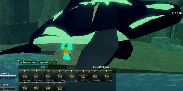 Beli Fish Orca Fish Fisch Terlengkap dan Termurah Februari 2025 3267336 ...